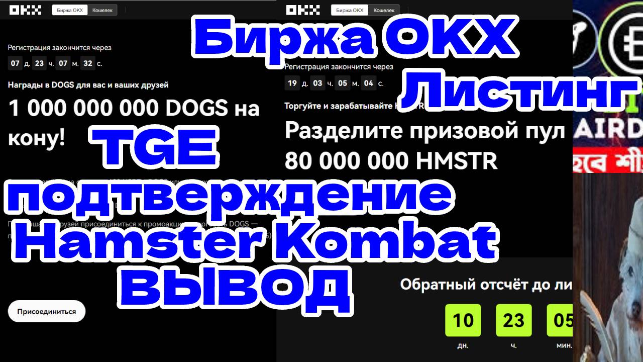 Биржа OKX листинг TGE подтвирждение Hamster Kombat вывод