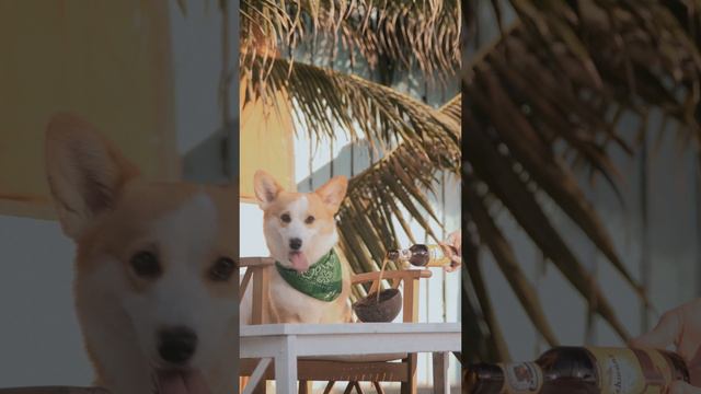 Лето — время пляжных вечеринок. А как отдыхаете вы?