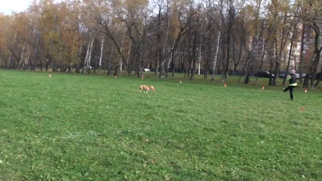 Александра и Кира - фризби-фристайл.mp4