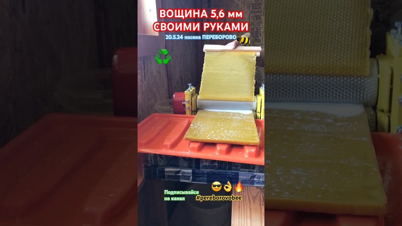 Своя вощина!  ПЧЕЛОВОДСТВО! #pereborovobee #пасека #пчеловодство #воск #вощина #своимируками #а4