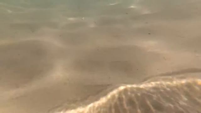 Съемка на Yi 4K Action Camera в аквабоксе