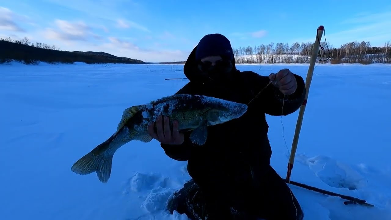 ТАКОГО ТРОФЕЯ МЫ ТОЧНО НЕ ЛОВИЛИ В НАШИХ МЕСТАХ проверили жерлицы и офигели ВОТ ЭТО ЗВЕРЮГА