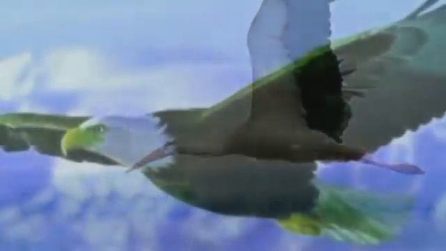 Журавлик Муз П Антипина,ст З Ильиной,поет Г Погорельская.mp4