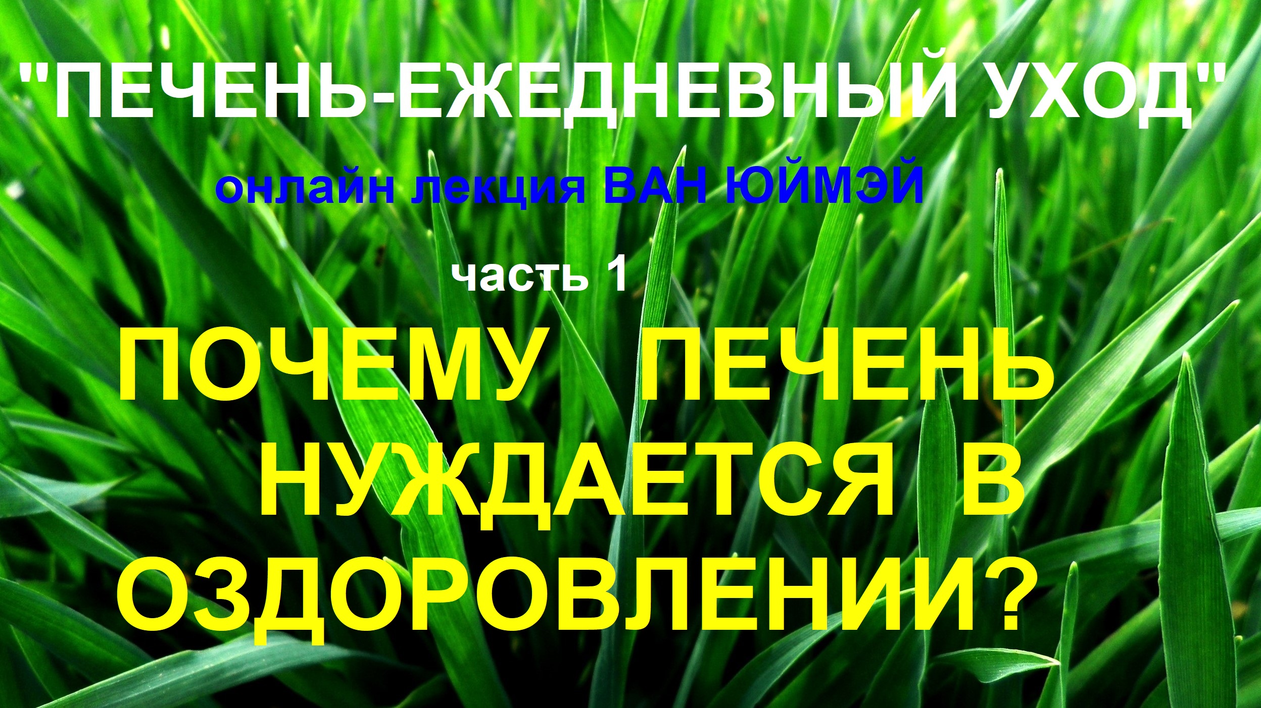 1.Почему печень нуждается в оздоровлении ?