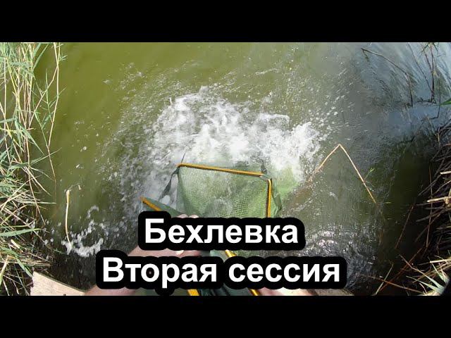 Рыбалка в Бехлевке 2 Белгородский район