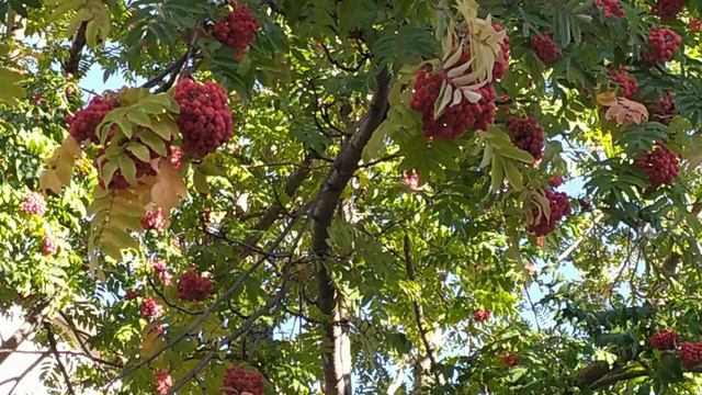 ИЩИТЕ РАДОСТЬ ! МОИ СТИХИ.