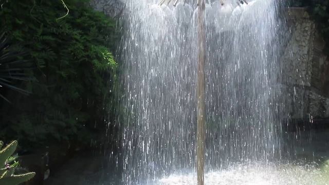 Южный дендрарий