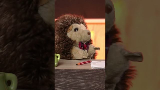 Новости Ежовости #shorts #50