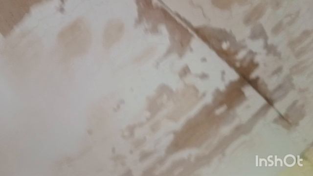 ВСКРЫЛИ ПОТОЛОК САРАЙКИ/ПРОБУЕМ КУПАТЫ/ПОБЕГ ТОМАТОВ ИЗ ТЕПЛИЦЫ