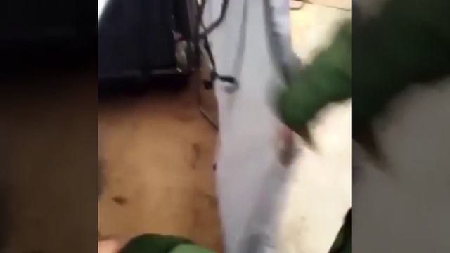 зимняя рыбалка в Сибири