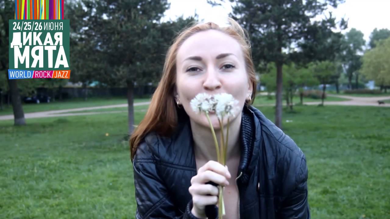 Танцуй вместе с Дикой Мятой - IOWA