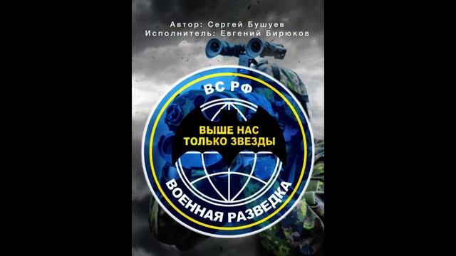 Евгений Бирюков - Разведка (автор Сергей Бушуев)