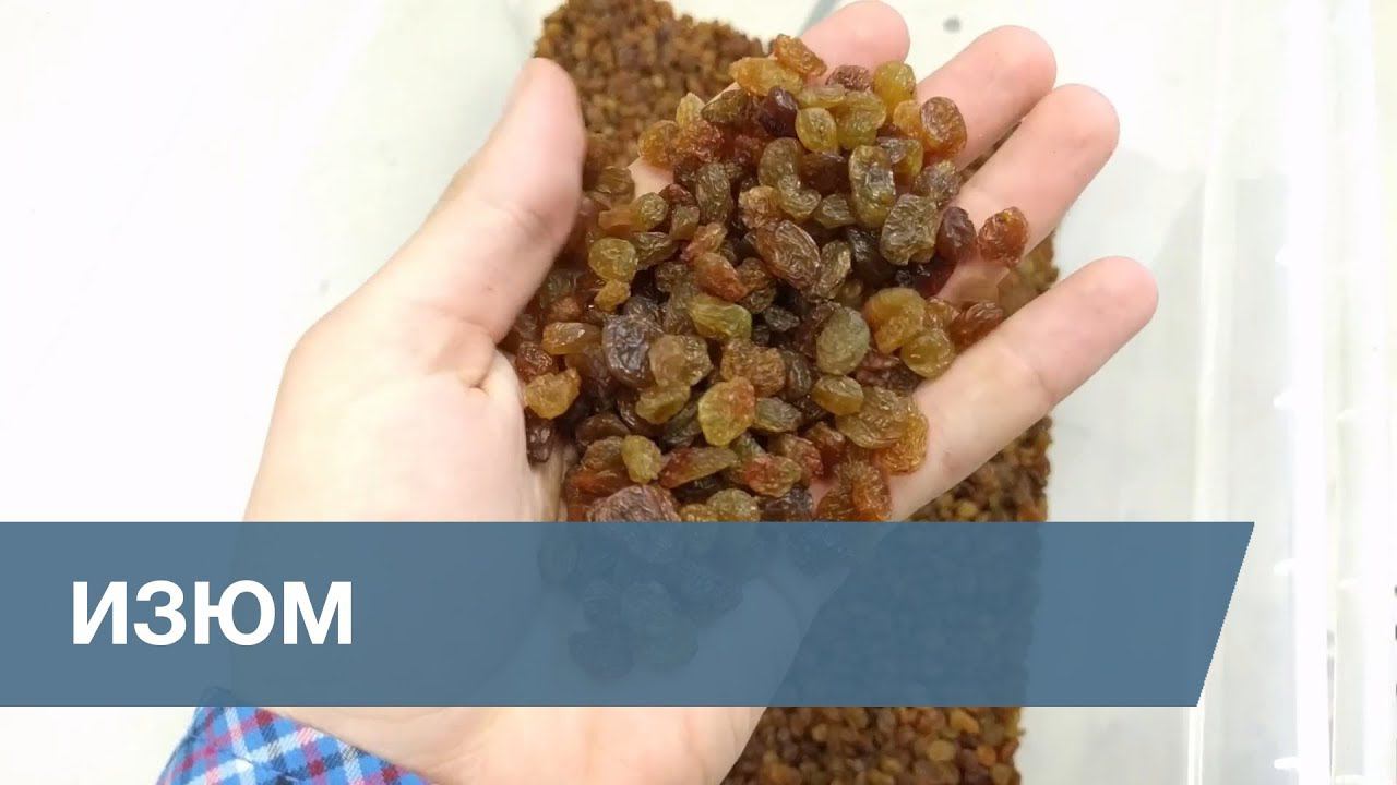 Сортировка Изюма / Raisins Sorting
