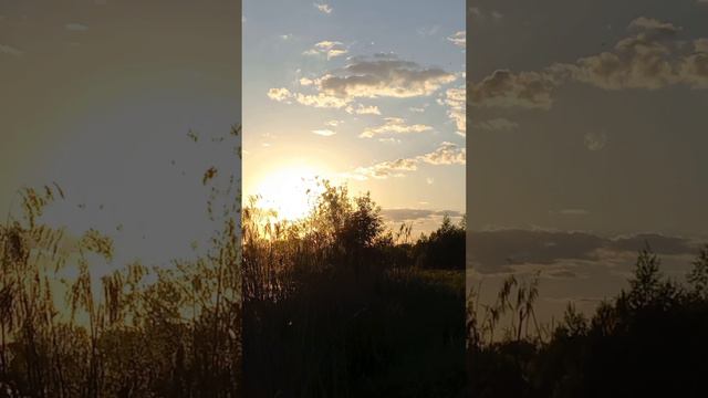 рыбалка 25 мая