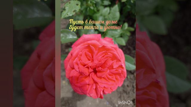 Благословенной субботы!