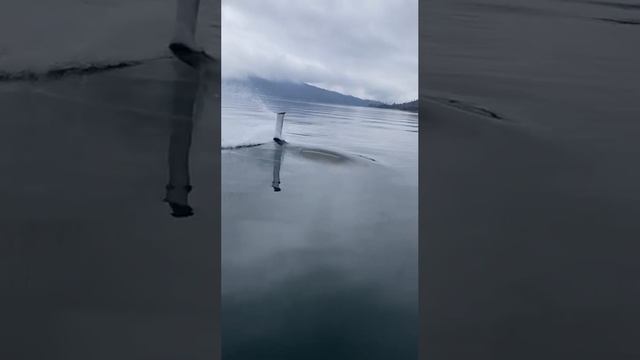 VID_20221223_185037_270.mp4