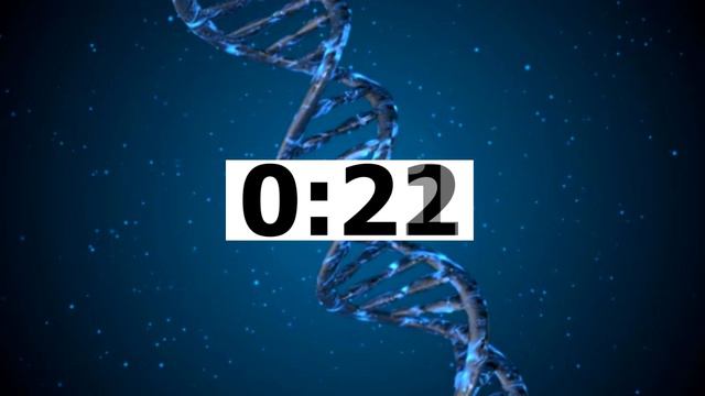 WHAT WOULD LIFE BE LIKE