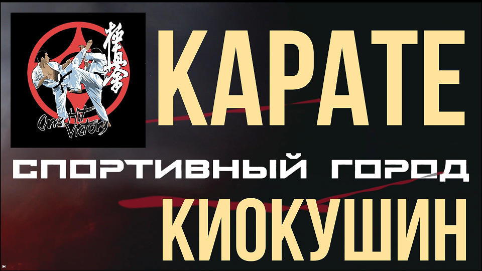 Киокушин Карате, тренер Денис Трачук - "Спортивный город", выпуск 2
