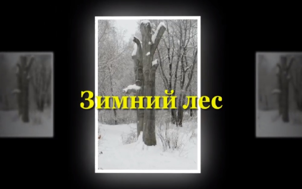 Зимний лес.mp4