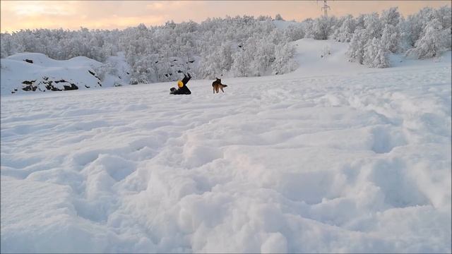 Вебстайл 2018  Елизавета и Верика.mp4