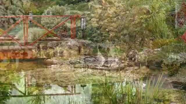 Ландшафтный дизайн от Ильи Васецкого. Живые камни в саду! №3.mp4