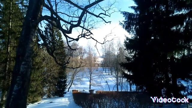 Зимний ПАВЛОВСК.