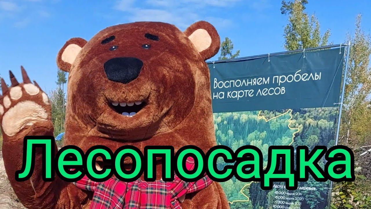 Катаем людей, садим деревья с "Сибирским кедром"