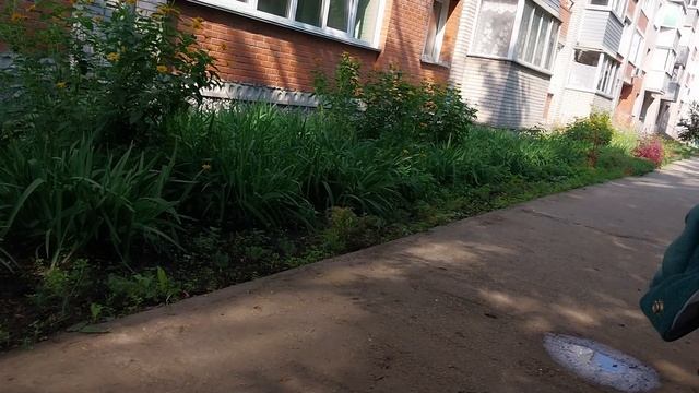 Жакины будни, 4 выпуск. Азбука и Жака, небольшая прогулка, игры в шишки.