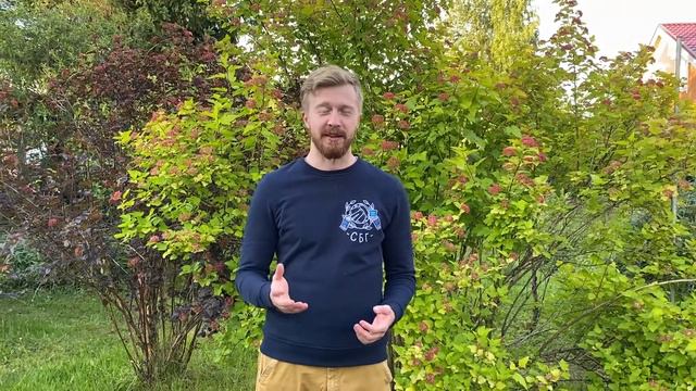 Analyst Days-11. Анонс доклада от Леонида Юденкова