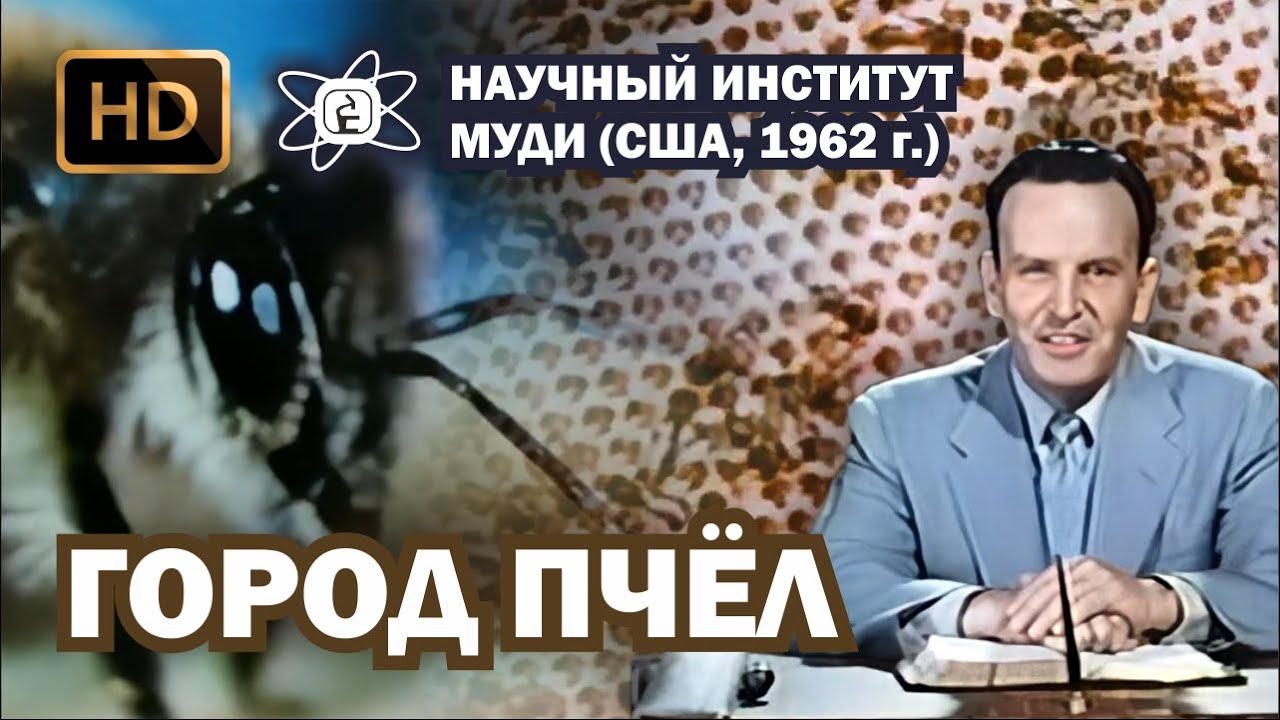 Город пчёл (1962) HD _ Научный Институт МОУДИ (720p).