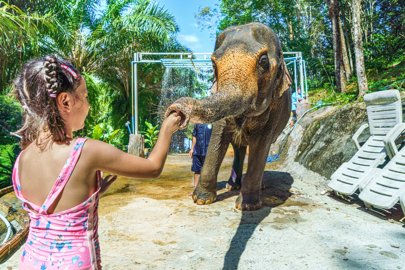 Экскурсия на ферму со слонами. Купание. Обед. Полное погружение в природу Таиланда.