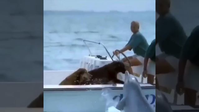 VID_20221222_215908_298.mp4