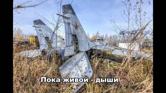 Пока живой диши