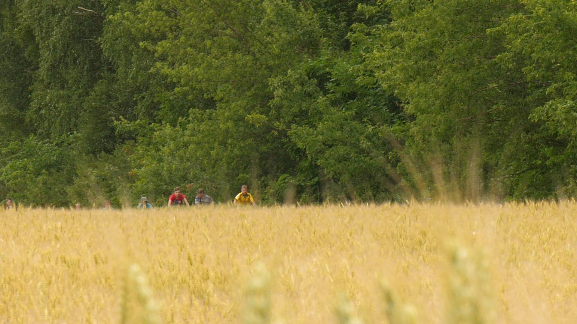 СНЫ О РОССИИ