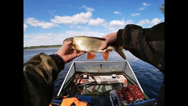 моменты улова рыбы за август 2022 которое не вошло в видео