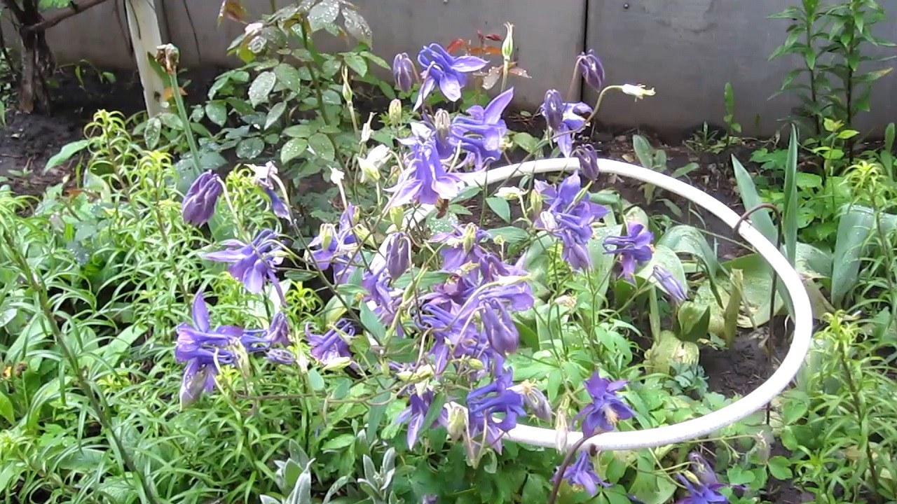 Подставка под цветы. Изготовление подставки под цветы своими руками.Подставка из металлопластиковых