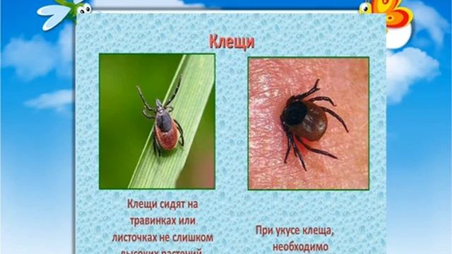 Презентация "Опасности летом для детей"