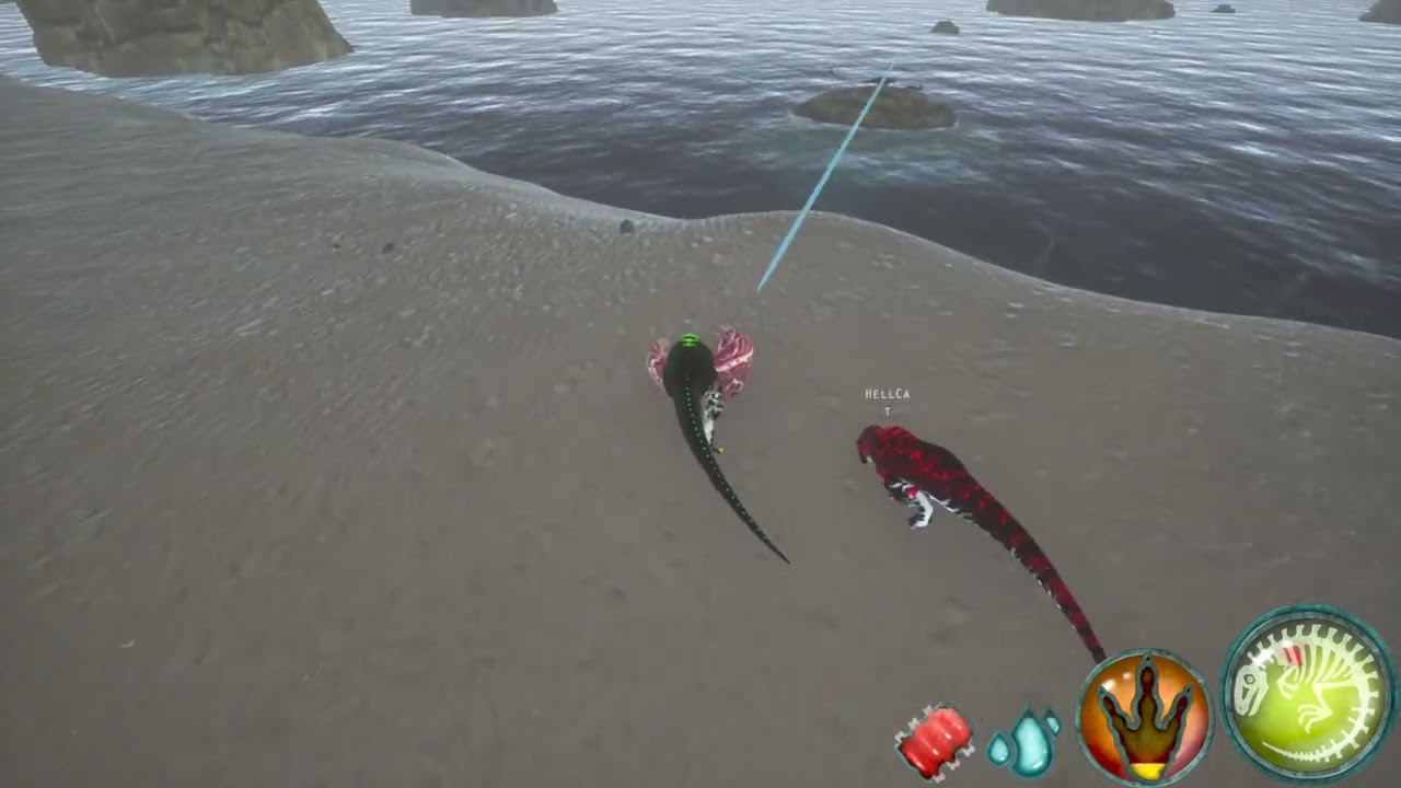 Стадо в море