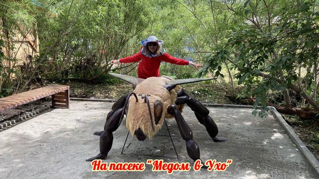 03.06.2022-Пасека Медом в Ухо