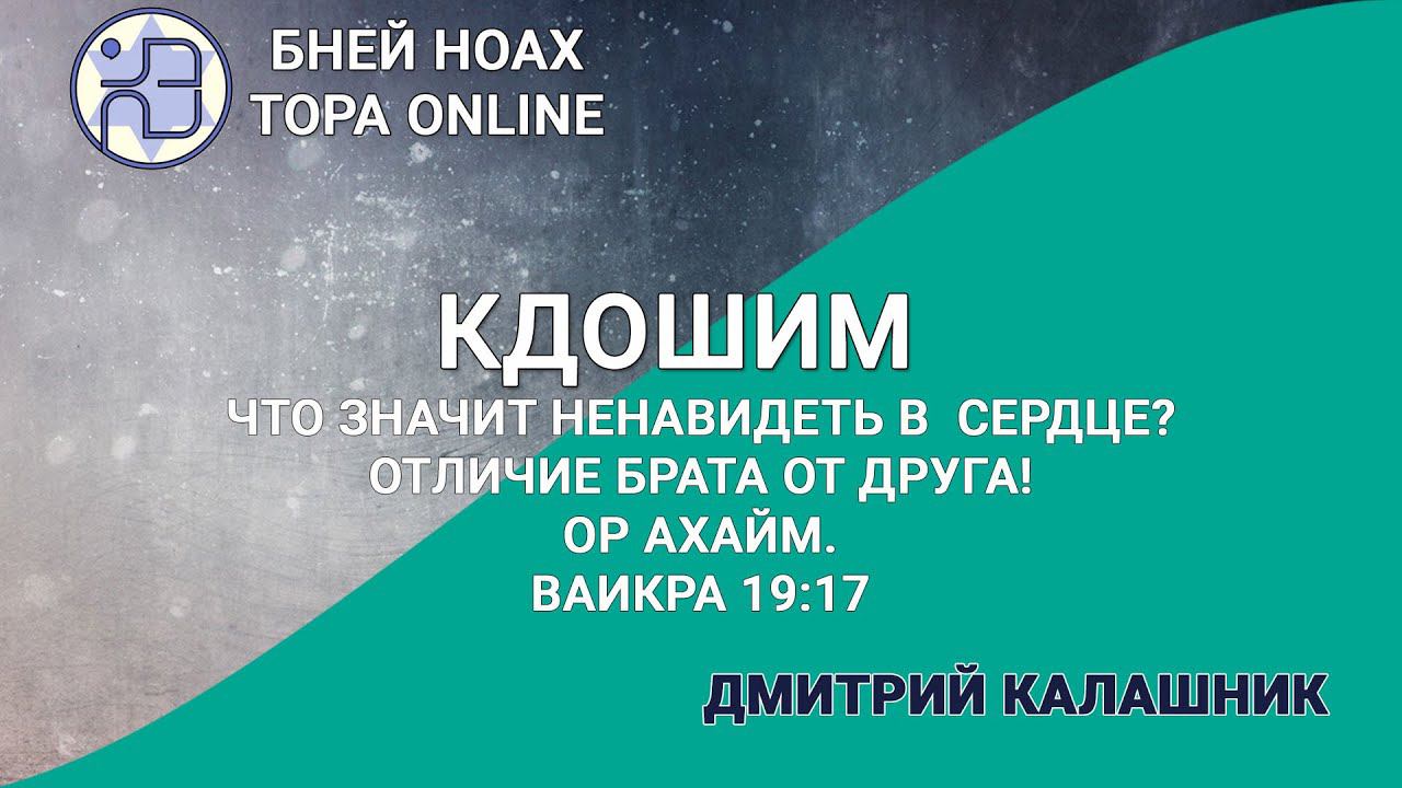 Что значит ненавидеть в  сердце? Отличие брата от друга! Ор аХайм. ВКР 19-17. Недельная глава Кдошим