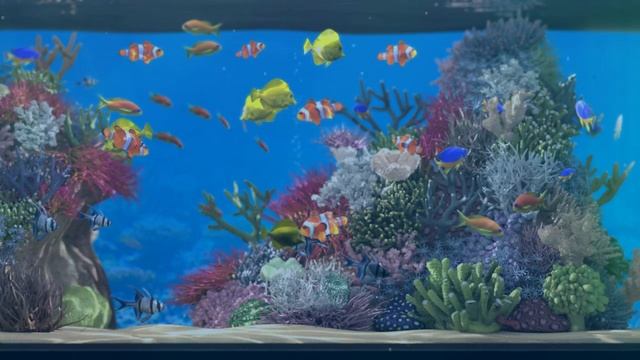 Графический ролик "Аквариум" для уличного видеоэкрана