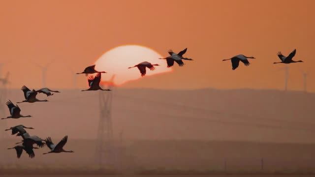 Ярослав Годованый – Остаюсь (А. Пахмутова – Н. Добронравов) (1991)