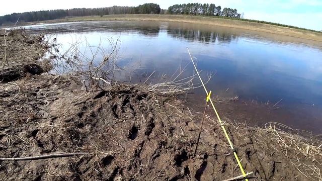 Рыба клюёт на всё