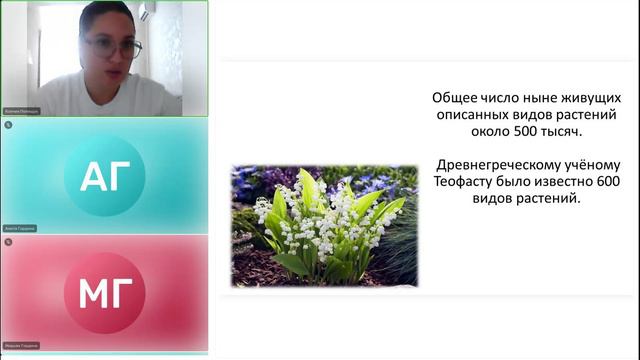 Биология 6 класс. Мини группы. ОУ 04.09.2024