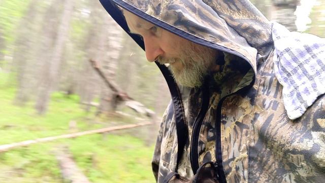 черника 2. 2024.07.31