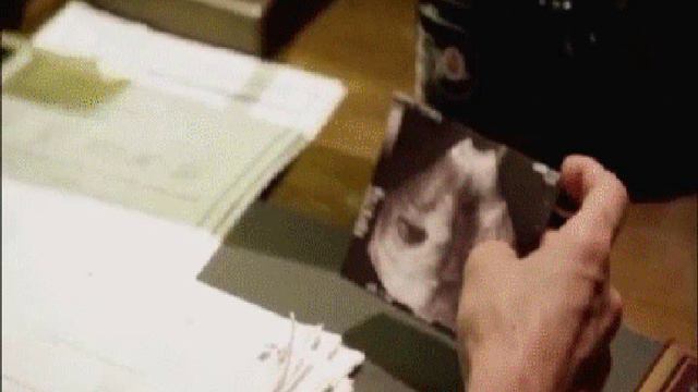 BSG_Kara&Lee_Если б не было тебя