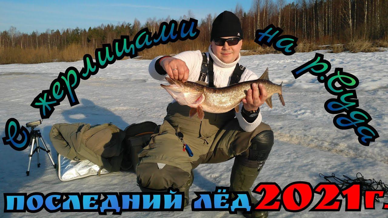 Рыбалка в "4к" с жерлицами  На Суде, последний лёд сезона 2020-2021