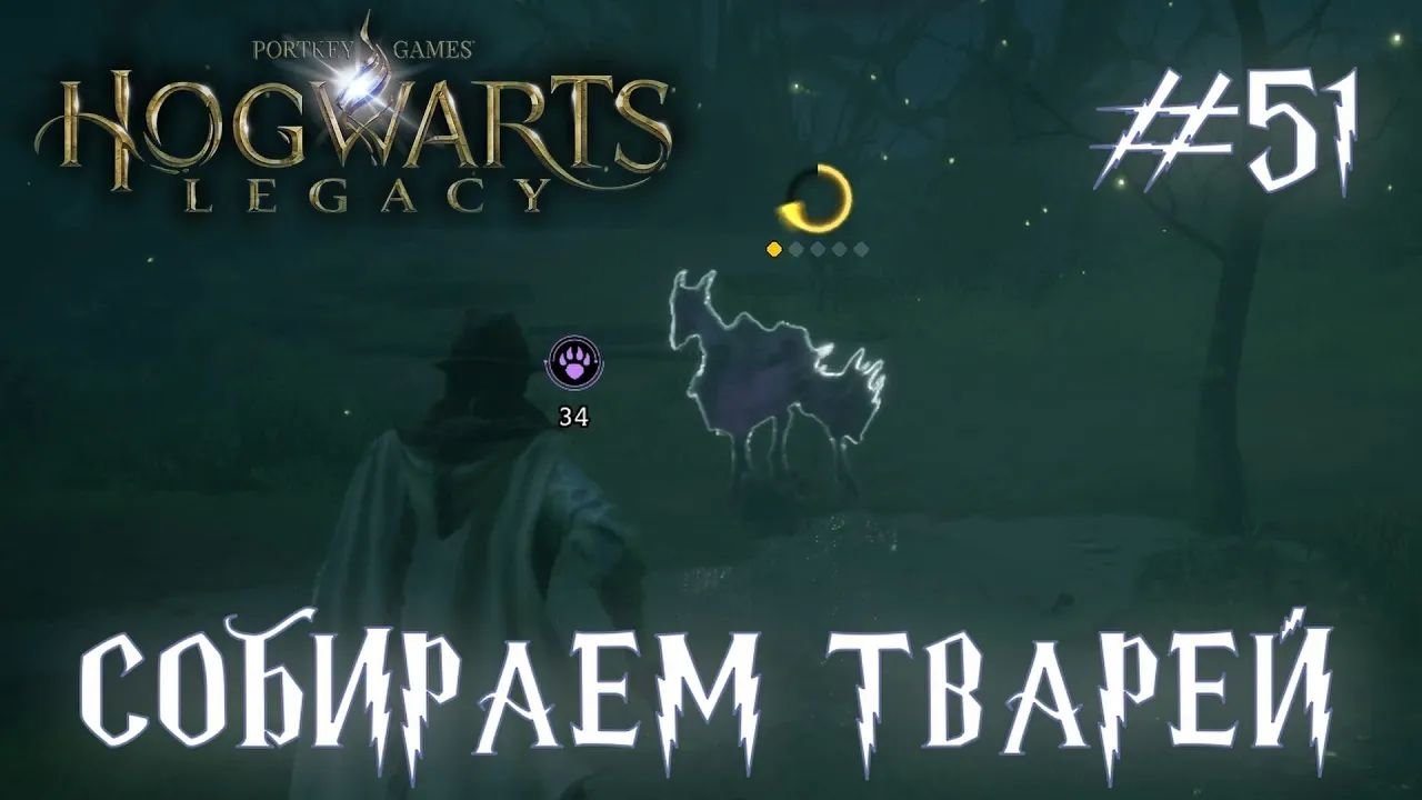 HOGWARTS LEGACY // Прохождение // #51: СОБИРАЕМ ТВАРЕЙ