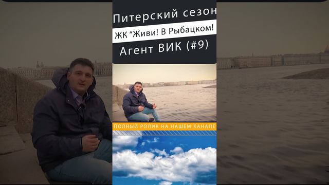 Живи! В Рыбацком. Питерский сезон - Агент ВИК (#9)