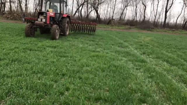 Обзор работы в поле бороны мотыги БМТ-6 'Тагсма' г. Таганрог